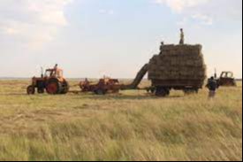 Өвс, тэжээлийн бэлтгэл 63.3 хувийн гүйцэтгэлтэй байна